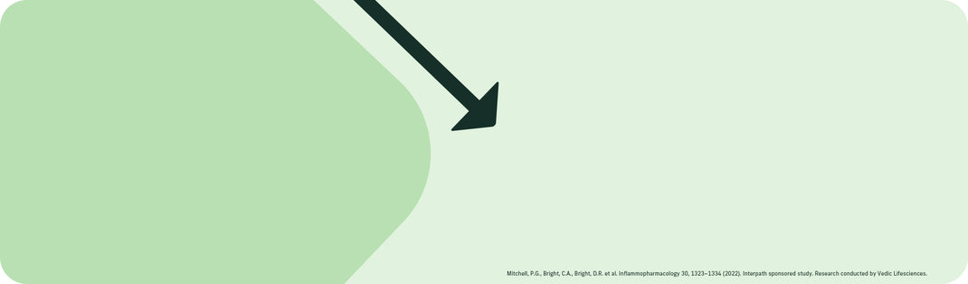 Epijoint®, the new product easing mild joint pain
