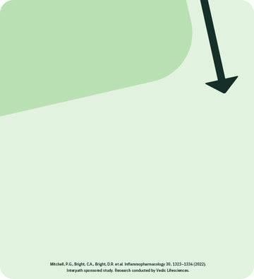 Epijoint®, the new product easing mild joint pain